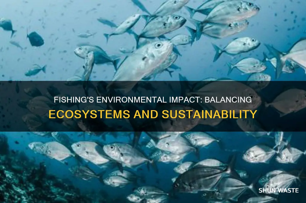 Fishing's Environmental Impact: Balancing Ecosystems And Sustainability ...
