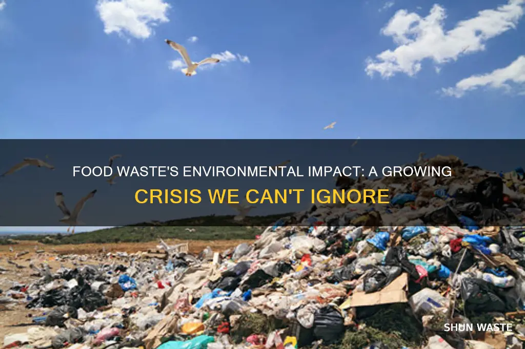 Food Waste's Environmental Impact: A Growing Crisis We Can't Ignore ...