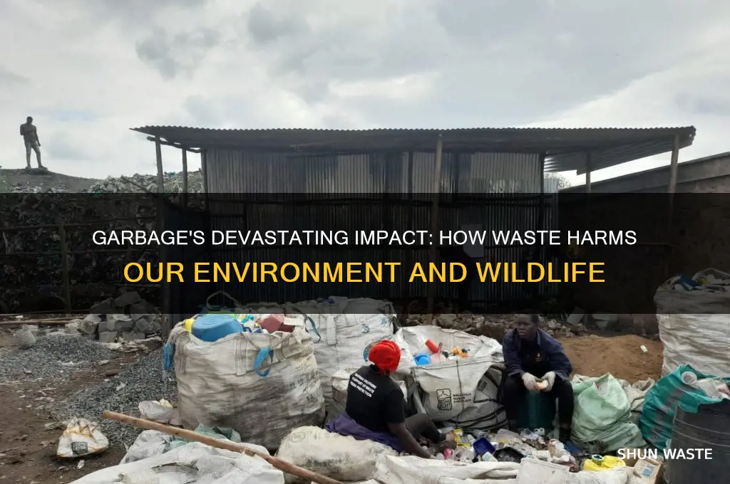 Garbage's Devastating Impact: How Waste Harms Our Environment And ...