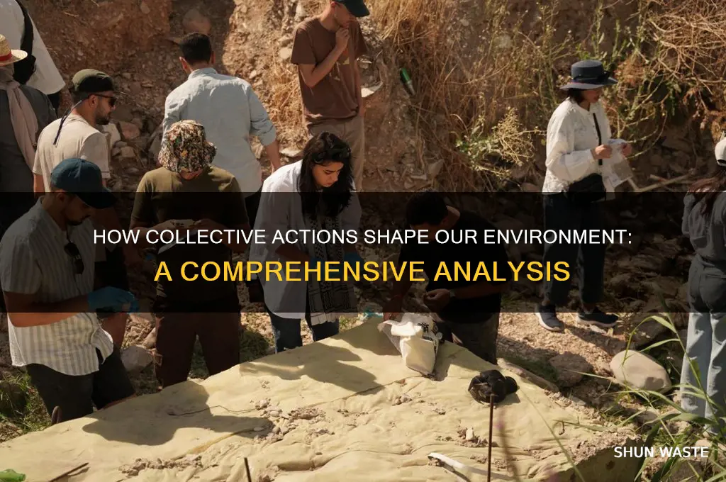How Collective Actions Shape Our Environment: A Comprehensive Analysis ...