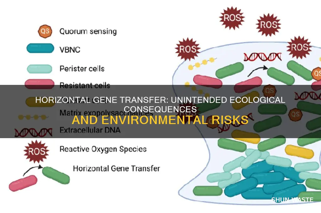 Horizontal Gene Transfer: Unintended Ecological Consequences And ...