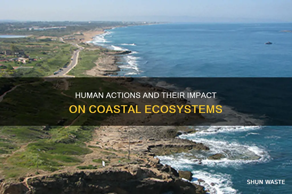 Human Actions And Their Impact On Coastal Ecosystems | ShunWaste