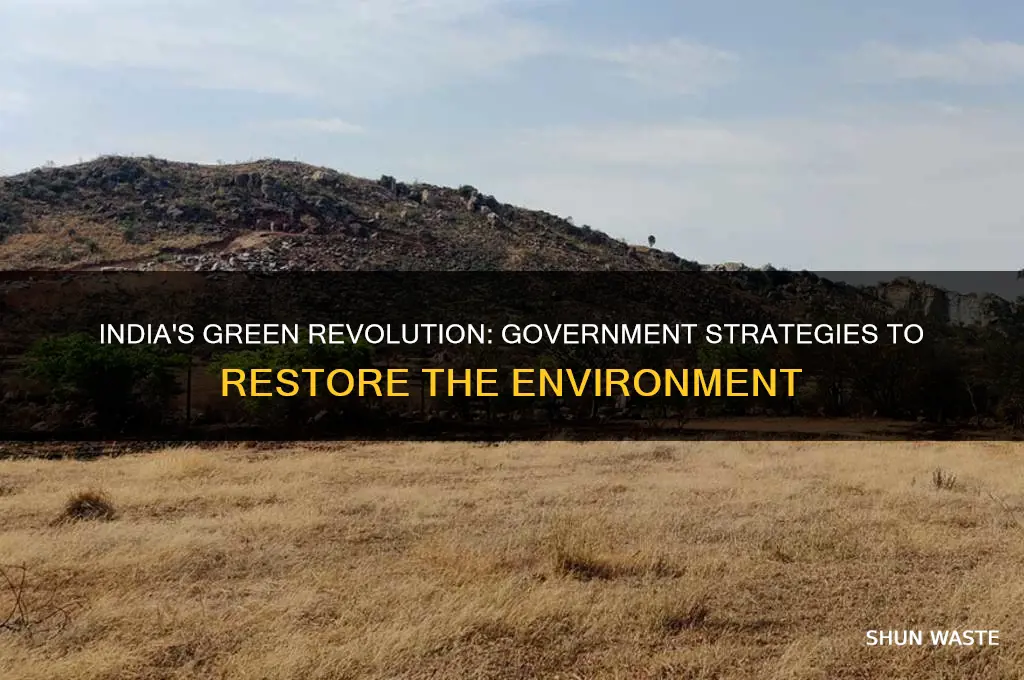 India's Green Revolution: Government Strategies To Restore The ...