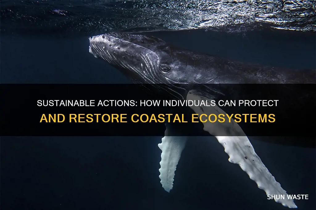 Sustainable Actions: How Individuals Can Protect And Restore Coastal ...