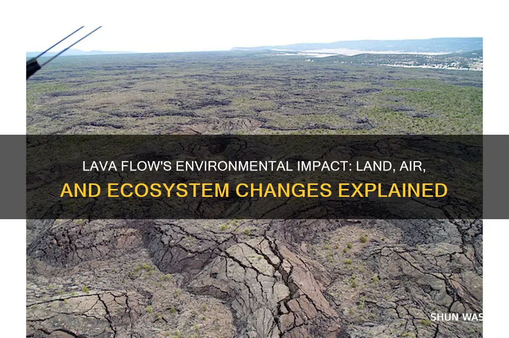 Lava Flow's Environmental Impact: Land, Air, And Ecosystem Changes ...