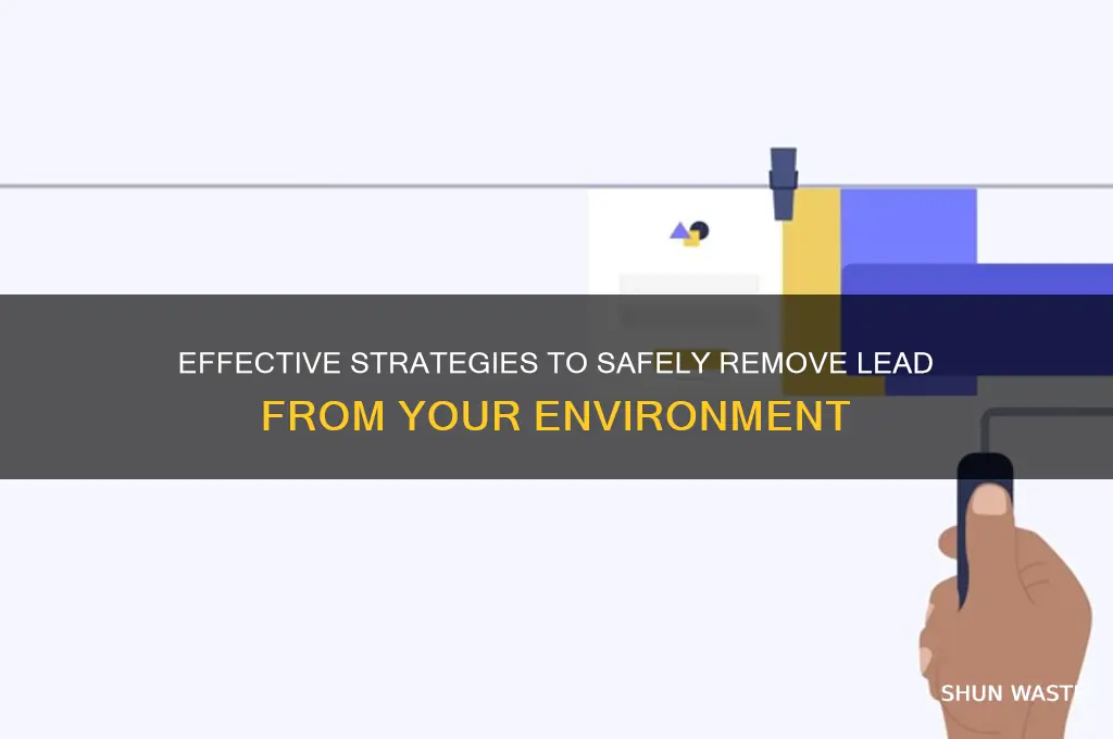Effective Strategies To Safely Remove Lead From Your Environment ...