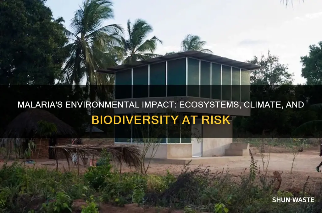 Malaria's Environmental Impact: Ecosystems, Climate, And Biodiversity ...