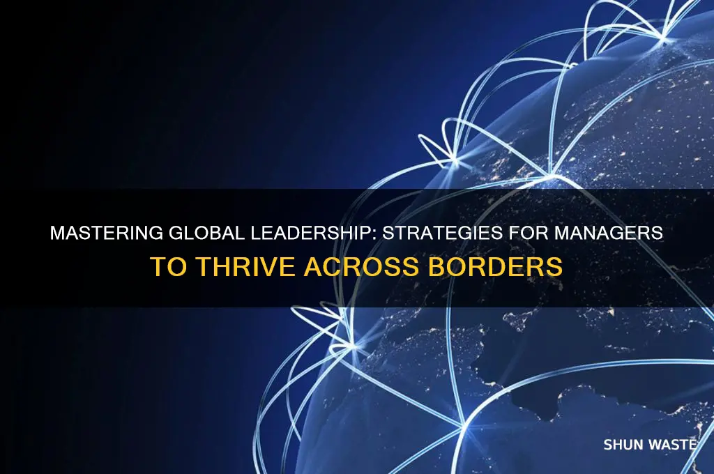 Mastering Global Leadership: Strategies For Managers To Thrive Across ...