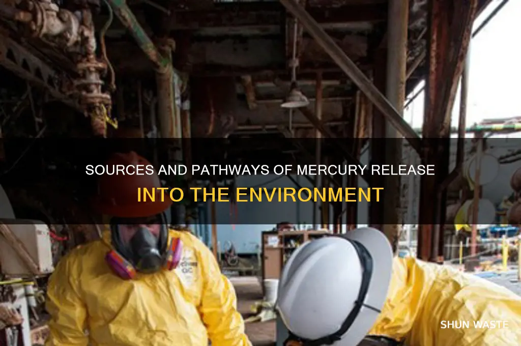 Sources And Pathways Of Mercury Release Into The Environment | ShunWaste