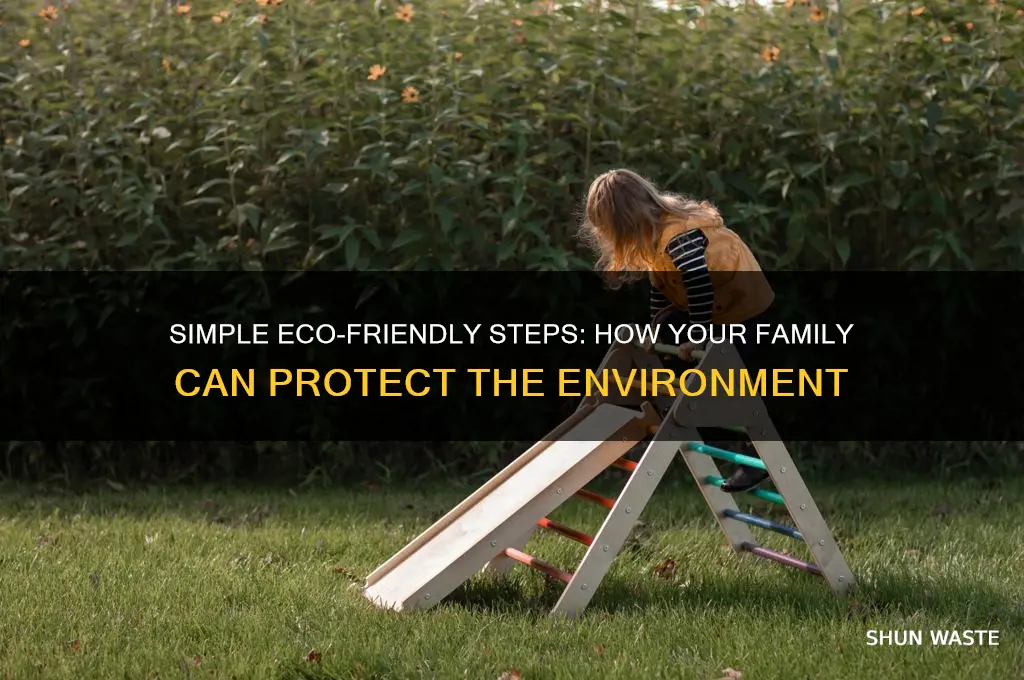 Simple Eco-Friendly Steps: How Your Family Can Protect The Environment ...