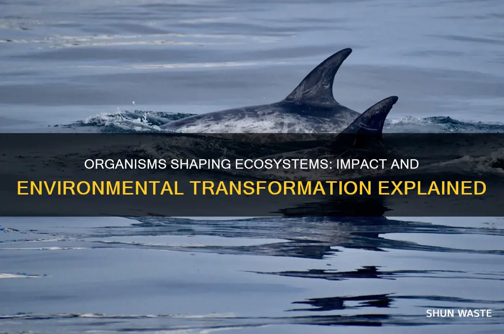 Organisms Shaping Ecosystems: Impact And Environmental Transformation ...