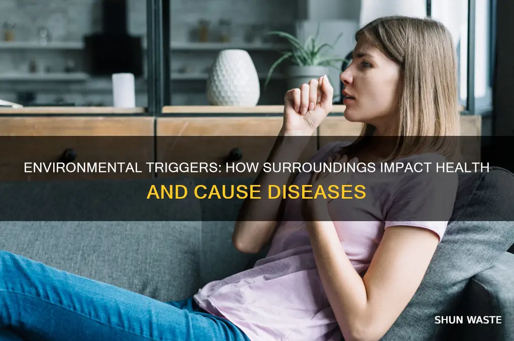 Environmental Triggers: How Surroundings Impact Health And Cause ...