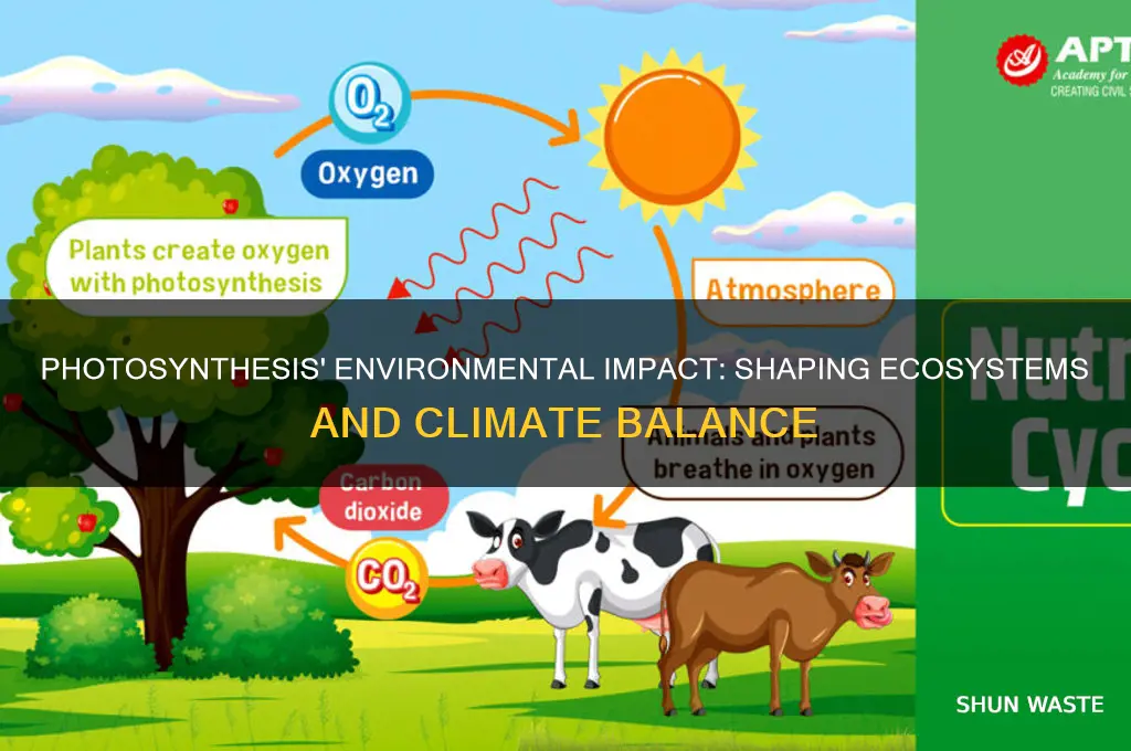 Photosynthesis' Environmental Impact: Shaping Ecosystems And Climate ...