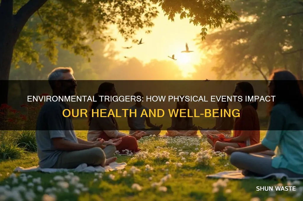 Environmental Triggers: How Physical Events Impact Our Health And Well ...