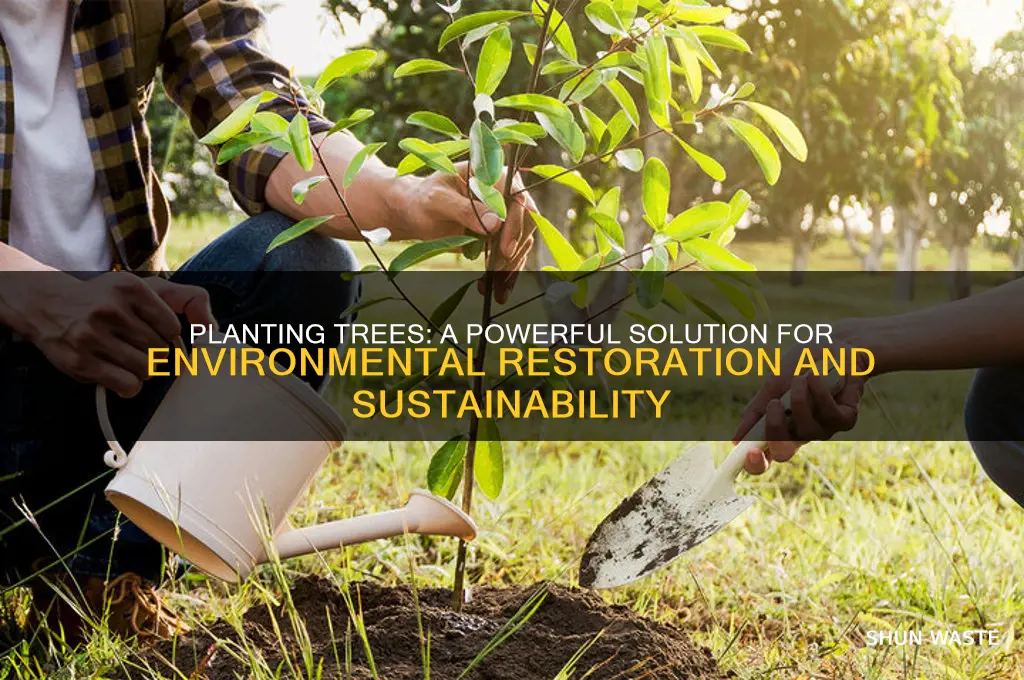 Planting Trees: A Powerful Solution For Environmental Restoration And ...