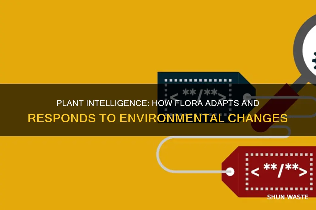 Plant Intelligence: How Flora Adapts And Responds To Environmental ...