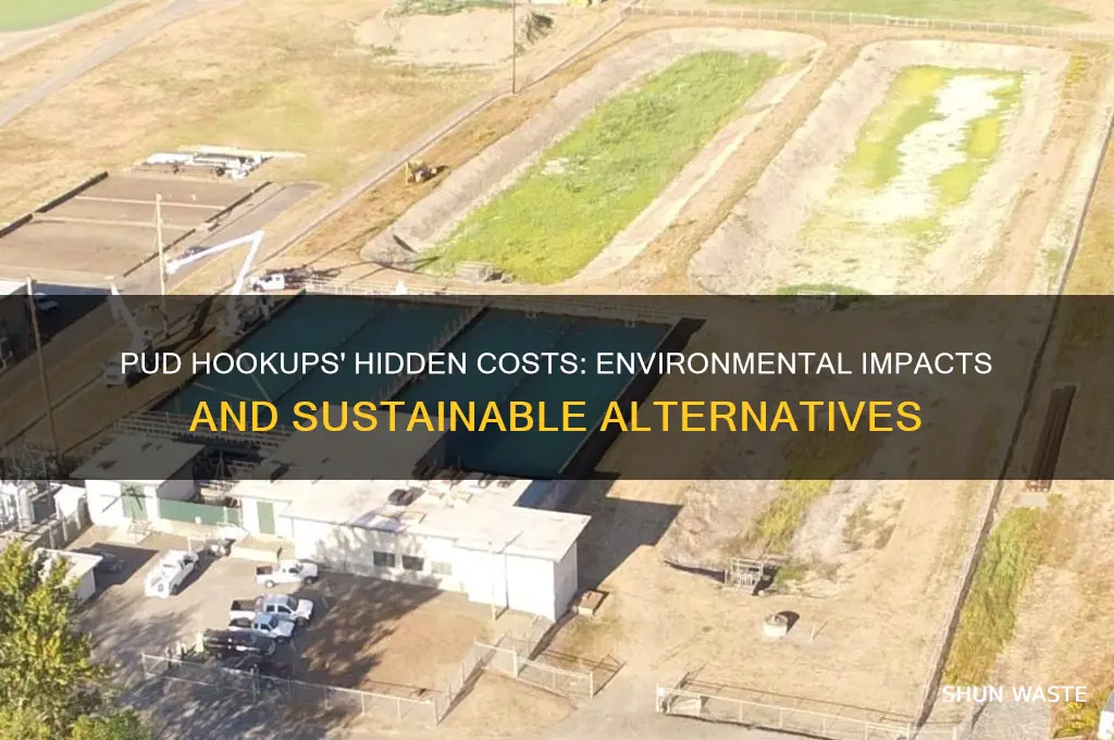 Pud Hookups' Hidden Costs: Environmental Impacts And Sustainable ...