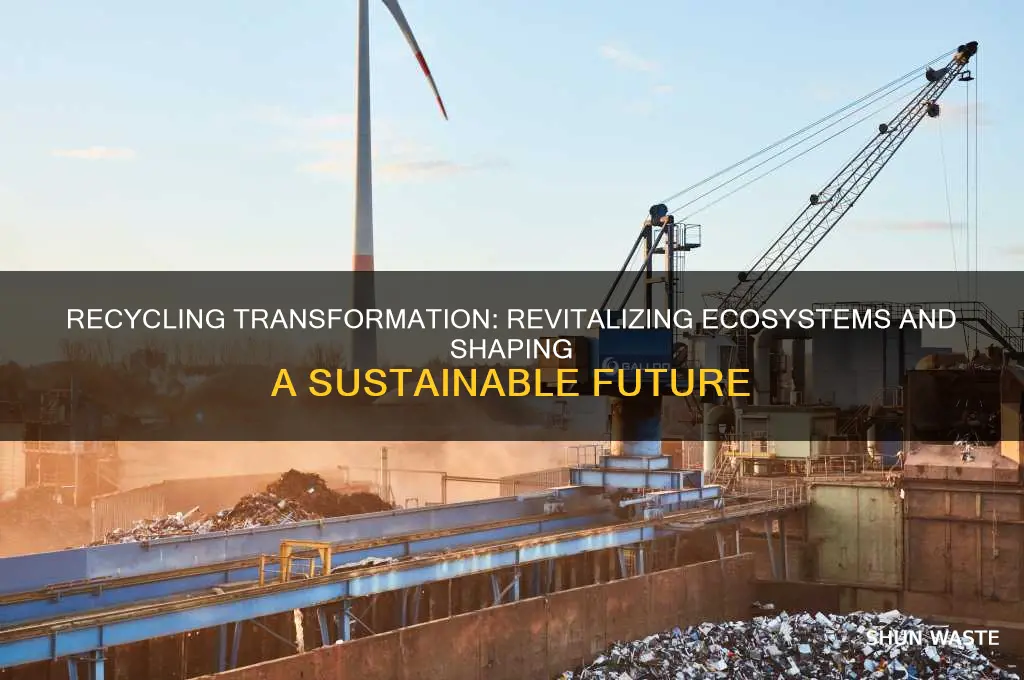 Recycling Transformation: Revitalizing Ecosystems And Shaping A ...