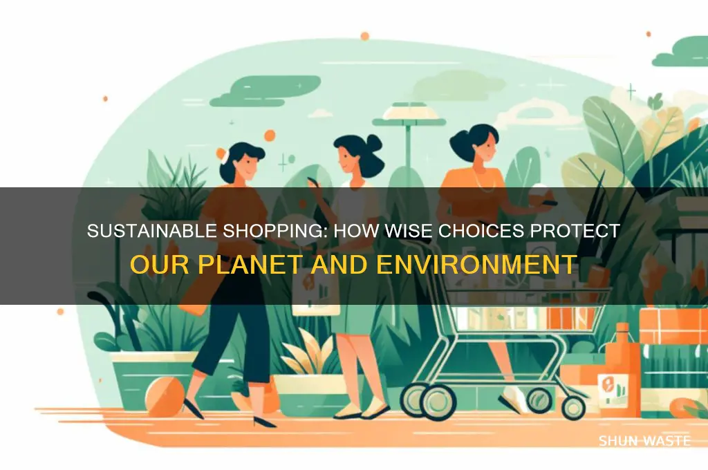 Sustainable Shopping: How Wise Choices Protect Our Planet And ...