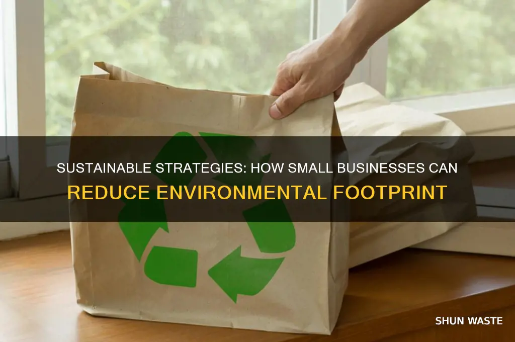 Sustainable Strategies: How Small Businesses Can Reduce Environmental ...
