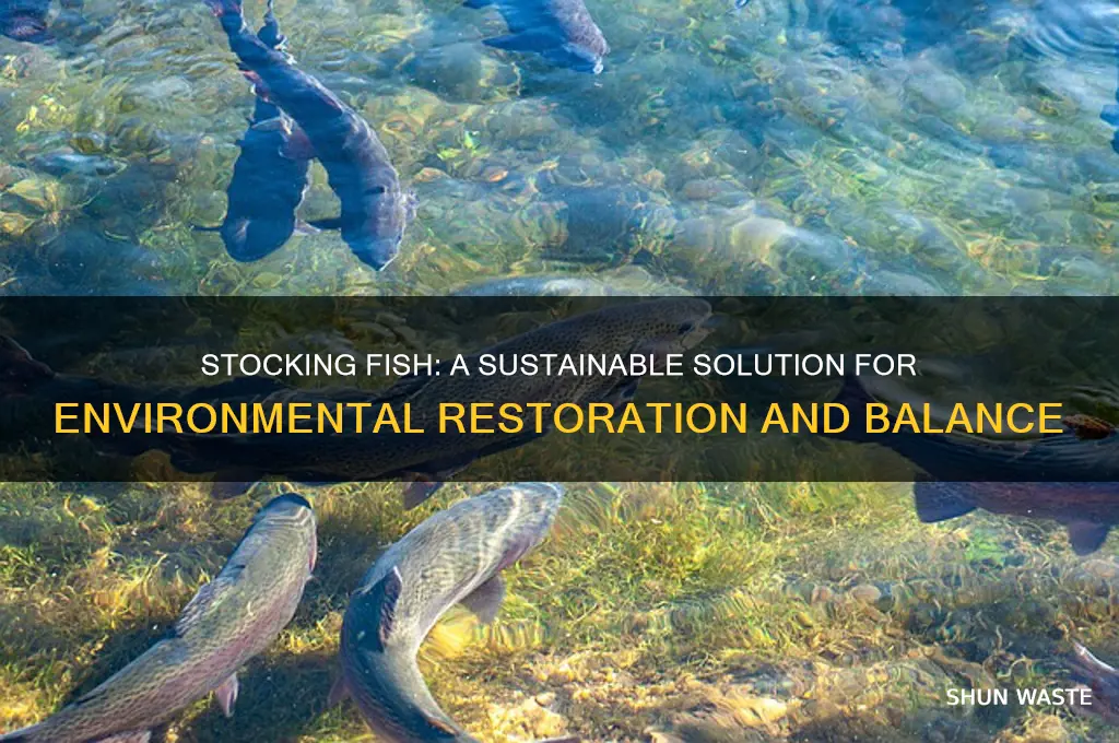 Stocking Fish: A Sustainable Solution For Environmental Restoration And ...