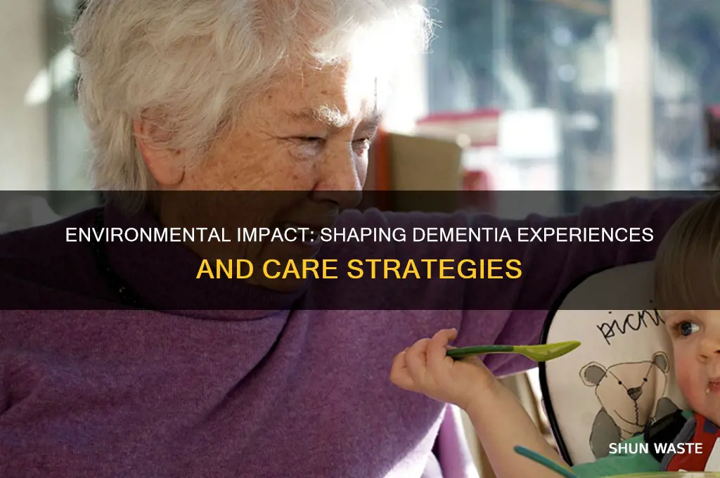 Environmental Impact: Shaping Dementia Experiences And Care Strategies ...