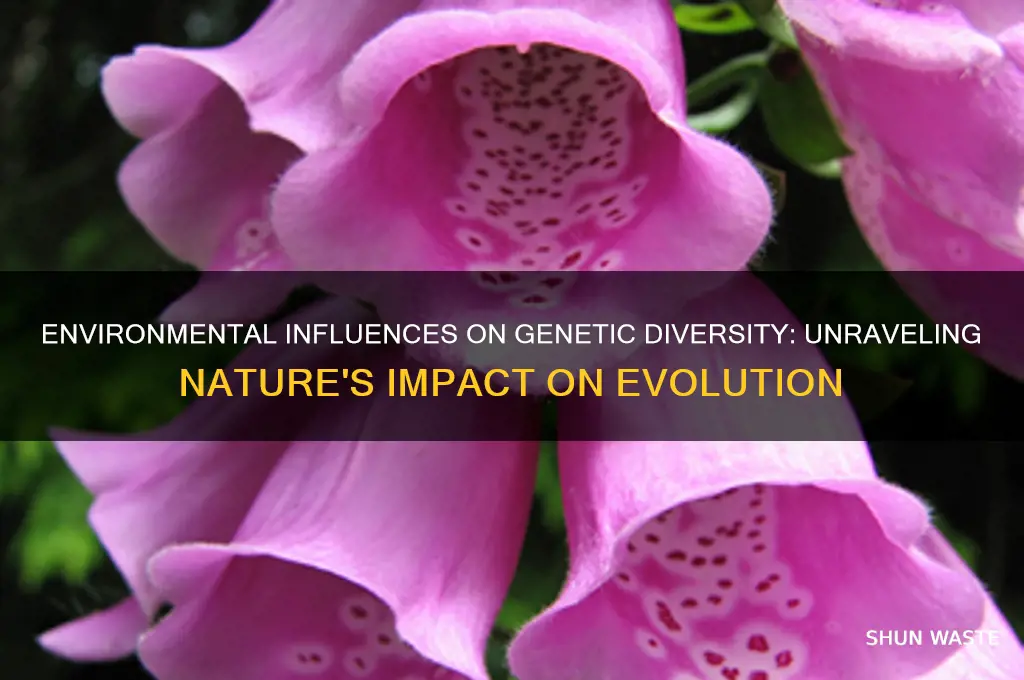 Environmental Influences On Genetic Diversity: Unraveling Nature's ...