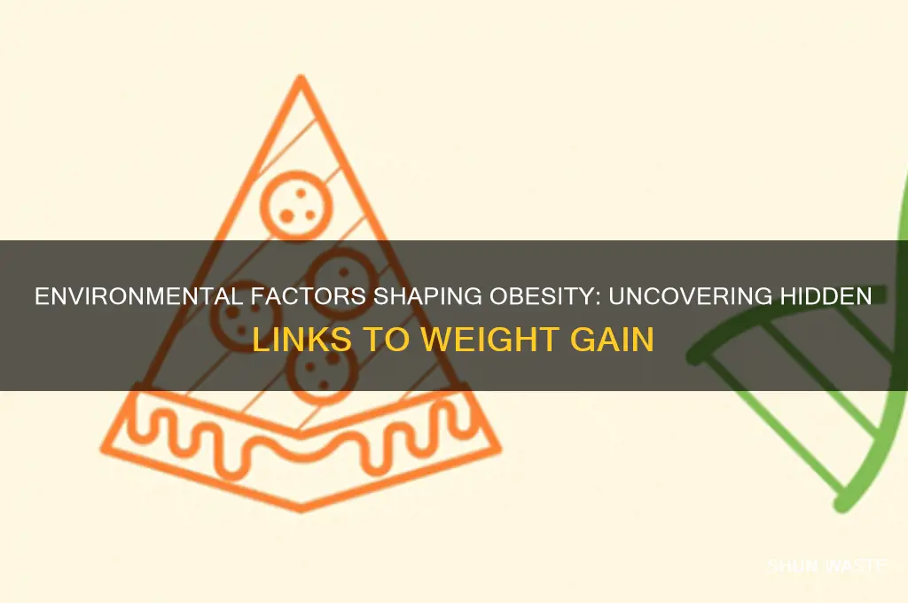 Environmental Factors Shaping Obesity: Uncovering Hidden Links To ...