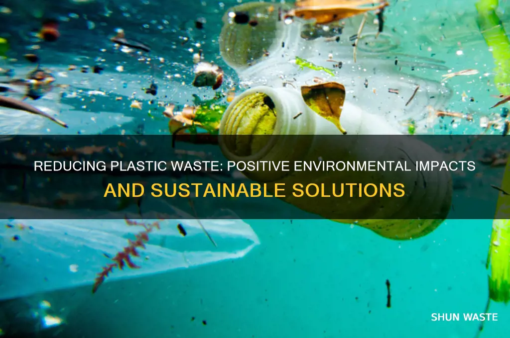 Reducing Plastic Waste: Positive Environmental Impacts And Sustainable ...
