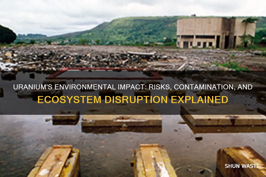 Uranium's Environmental Impact: Risks, Contamination, And Ecosystem ...