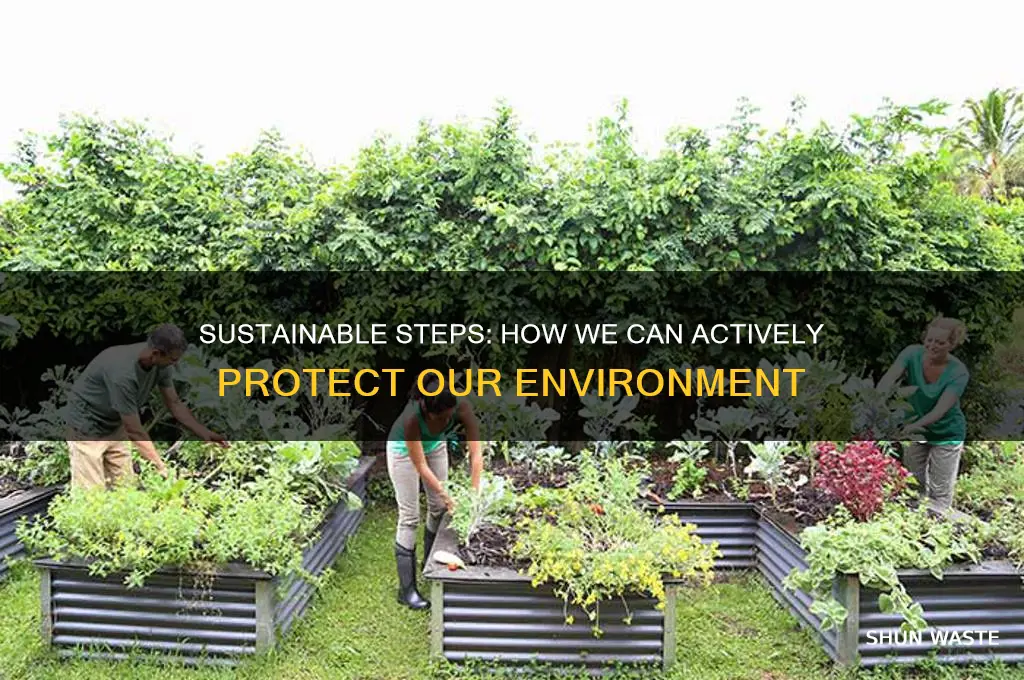 Sustainable Steps: How We Can Actively Protect Our Environment | ShunWaste