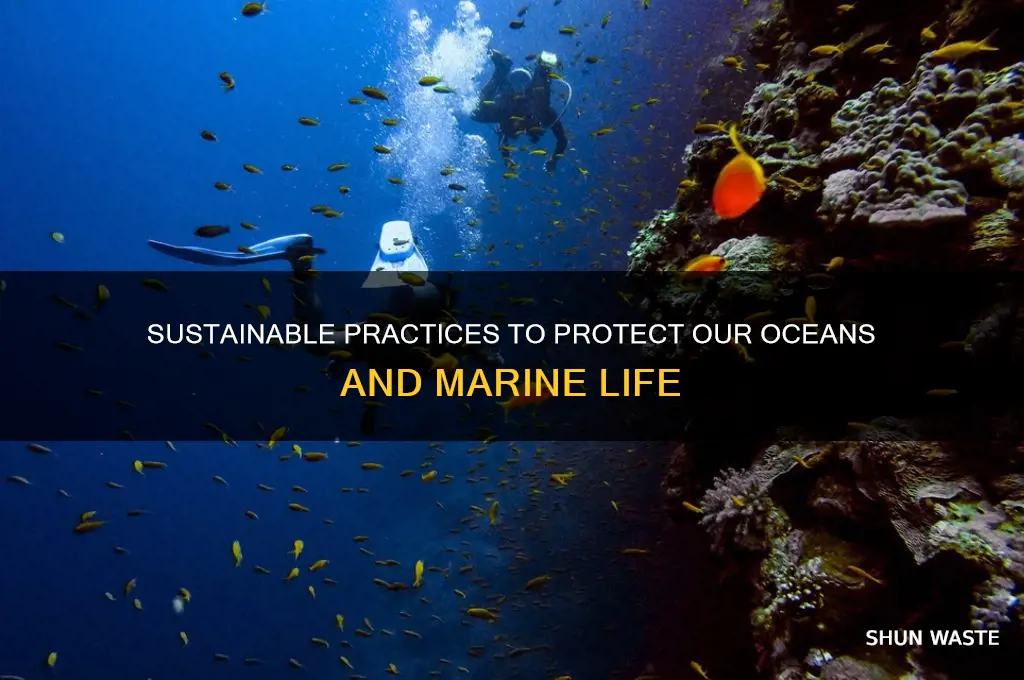 Sustainable Practices To Protect Our Oceans And Marine Life | ShunWaste