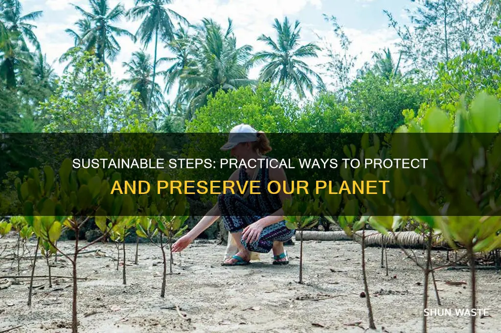 Sustainable Steps: Practical Ways To Protect And Preserve Our Planet ...