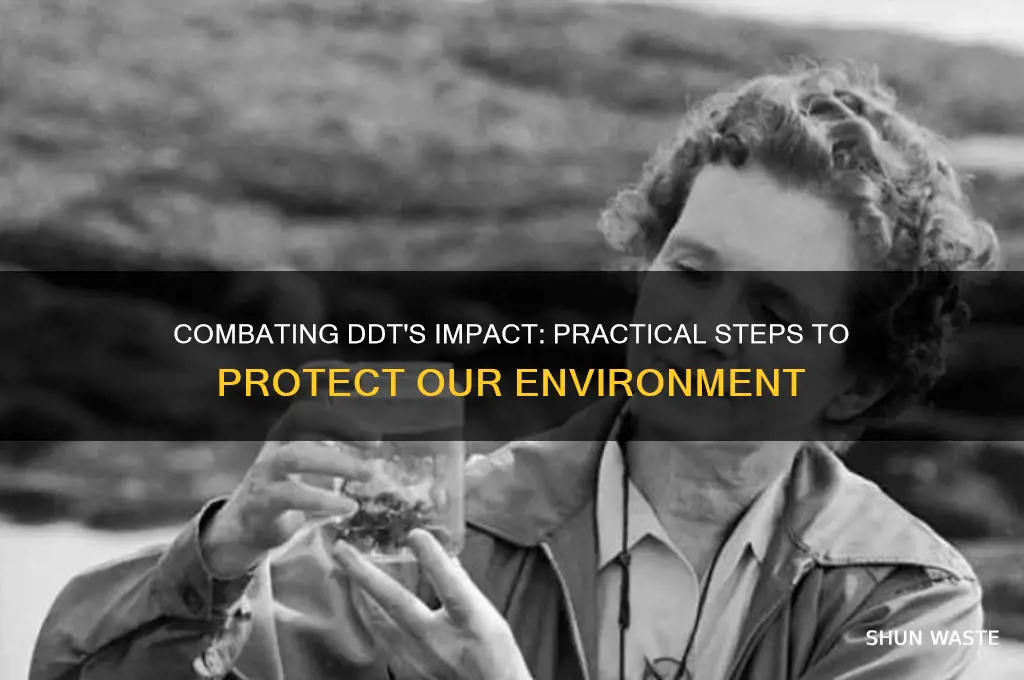 Combating Ddt's Impact: Practical Steps To Protect Our Environment ...