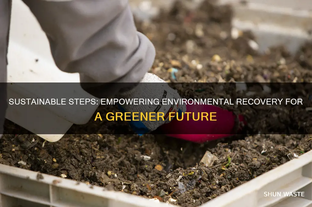Sustainable Steps: Empowering Environmental Recovery For A Greener ...