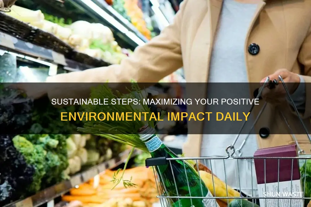 Sustainable Steps: Maximizing Your Positive Environmental Impact Daily ...