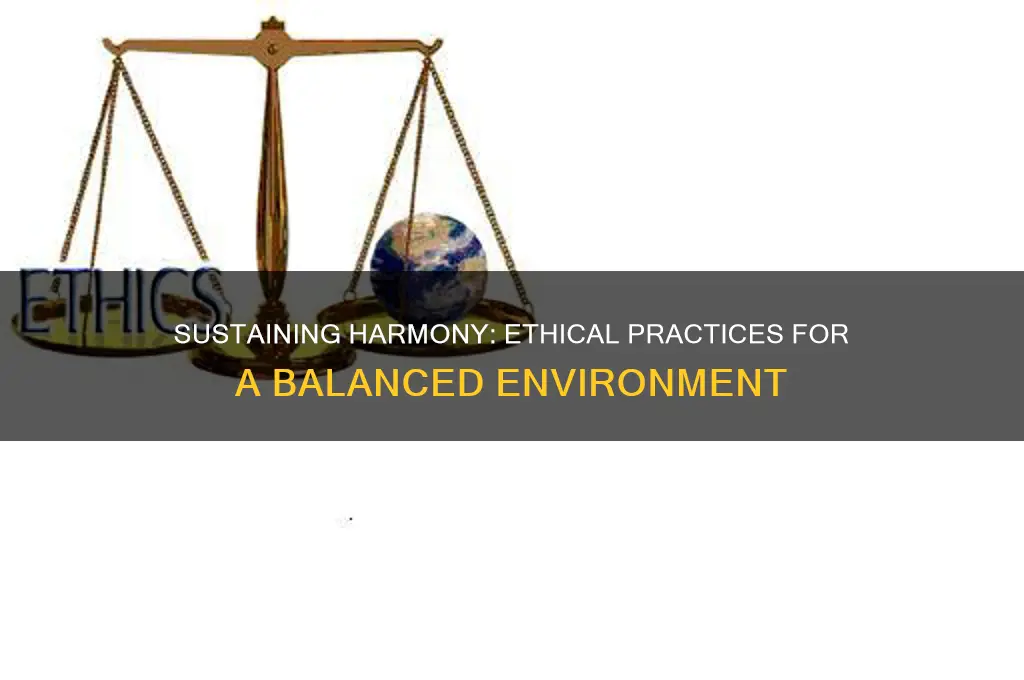 Sustaining Harmony: Ethical Practices For A Balanced Environment ...