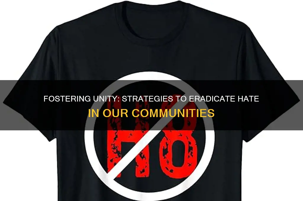 Fostering Unity: Strategies To Eradicate Hate In Our Communities ...