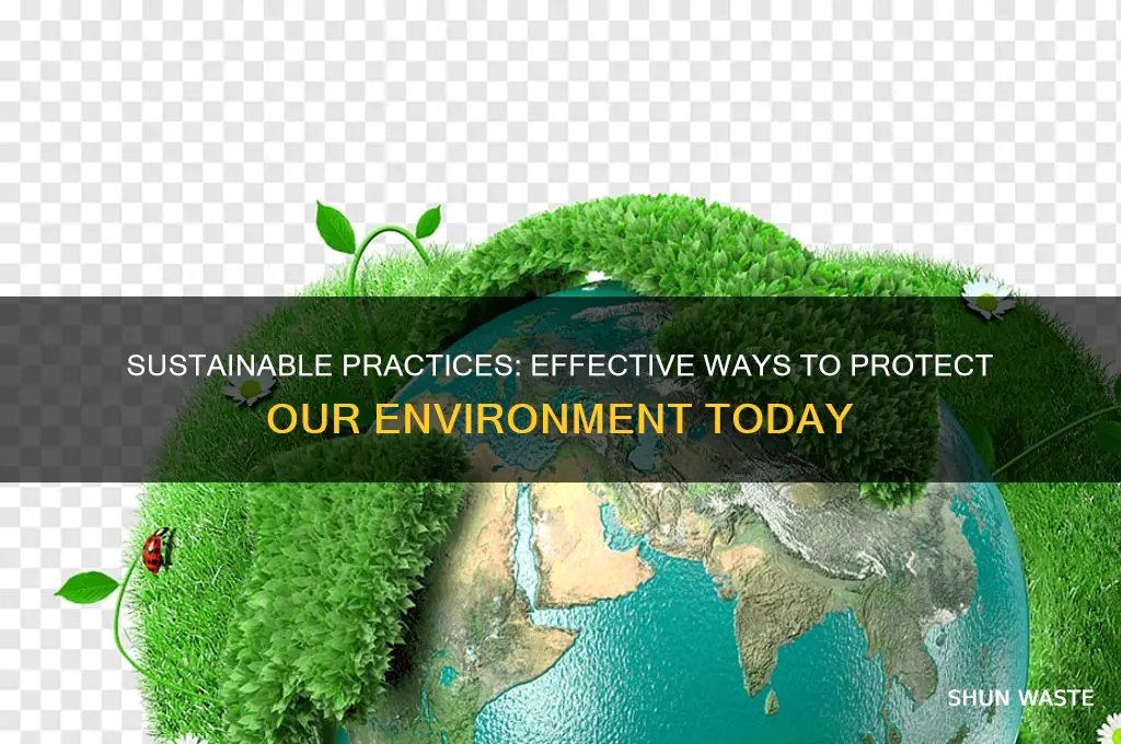 Sustainable Practices: Effective Ways To Protect Our Environment Today ...