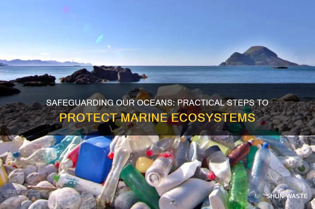 Safeguarding Our Oceans: Practical Steps To Protect Marine Ecosystems ...