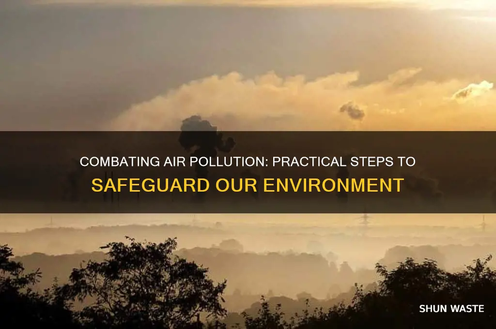 Combating Air Pollution: Practical Steps To Safeguard Our Environment ...