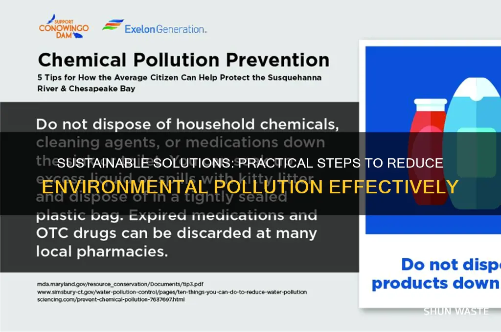 Sustainable Solutions: Practical Steps To Reduce Environmental ...