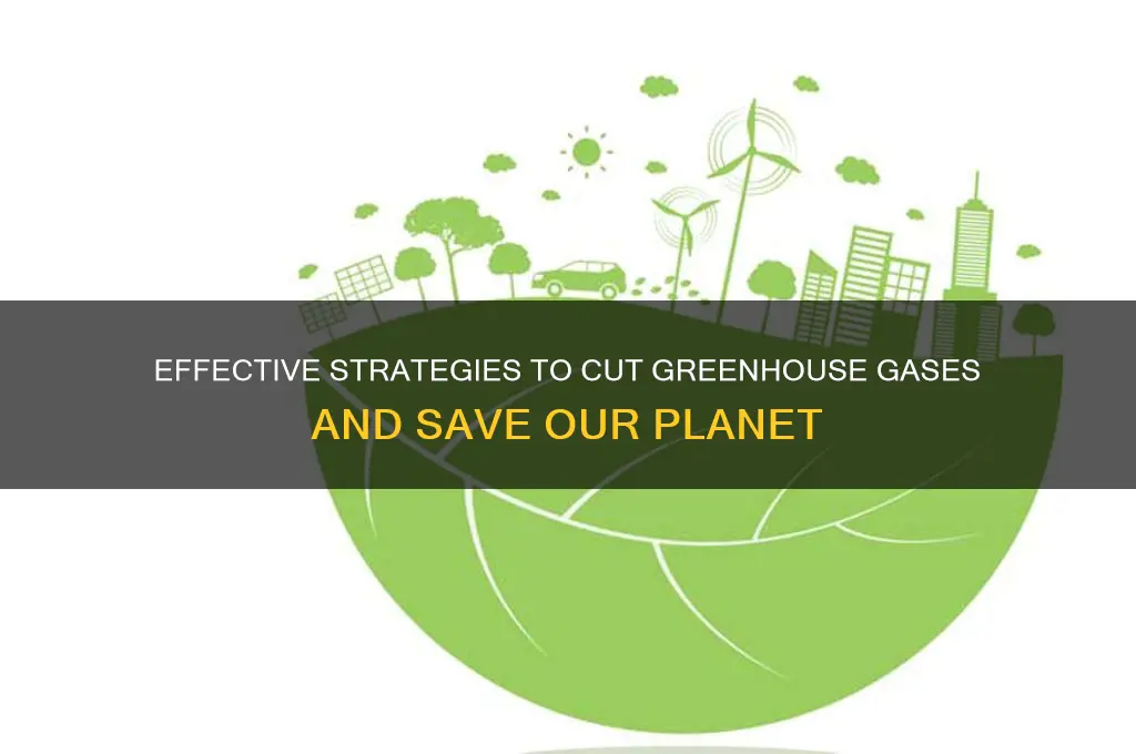 Effective Strategies To Cut Greenhouse Gases And Save Our Planet ...