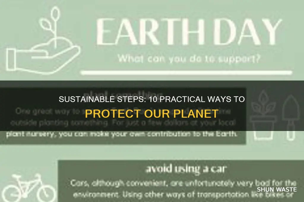 Sustainable Steps: 10 Practical Ways To Protect Our Planet | ShunWaste