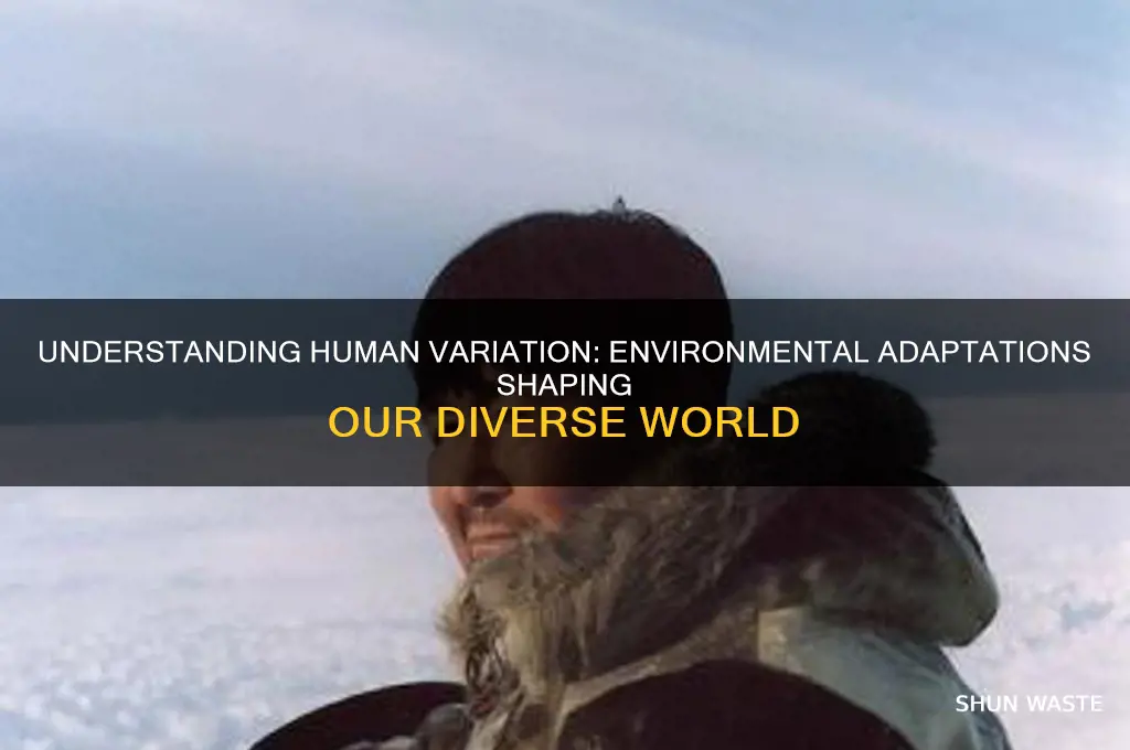 Understanding Human Variation: Environmental Adaptations Shaping Our ...