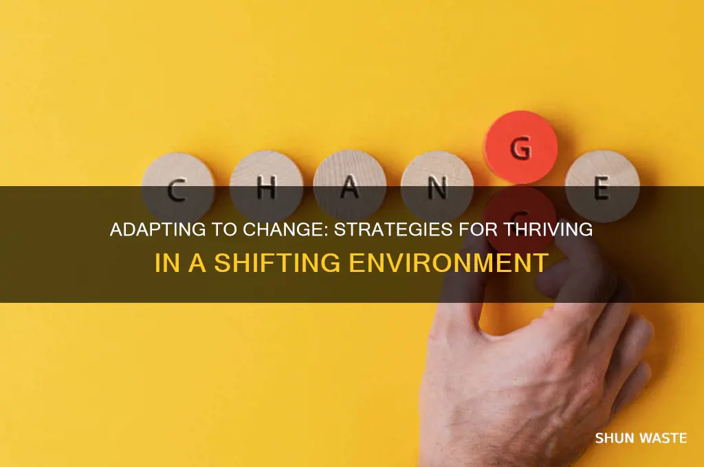 Adapting To Change: Strategies For Thriving In A Shifting Environment ...