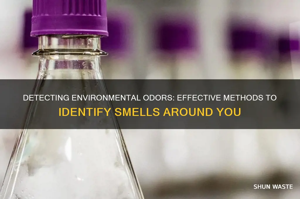 Detecting Environmental Odors: Effective Methods To Identify Smells ...