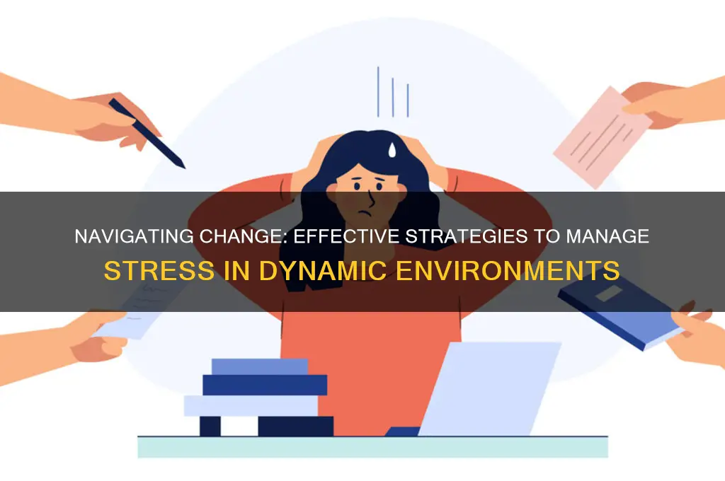 Navigating Change: Effective Strategies To Manage Stress In Dynamic ...