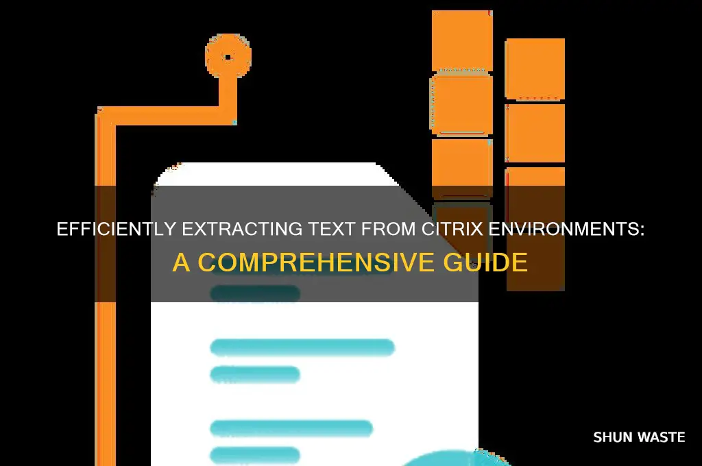 Efficiently Extracting Text From Citrix Environments: A Comprehensive ...