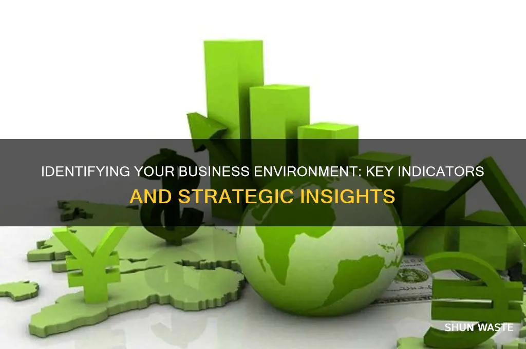 Identifying Your Business Environment: Key Indicators And Strategic ...